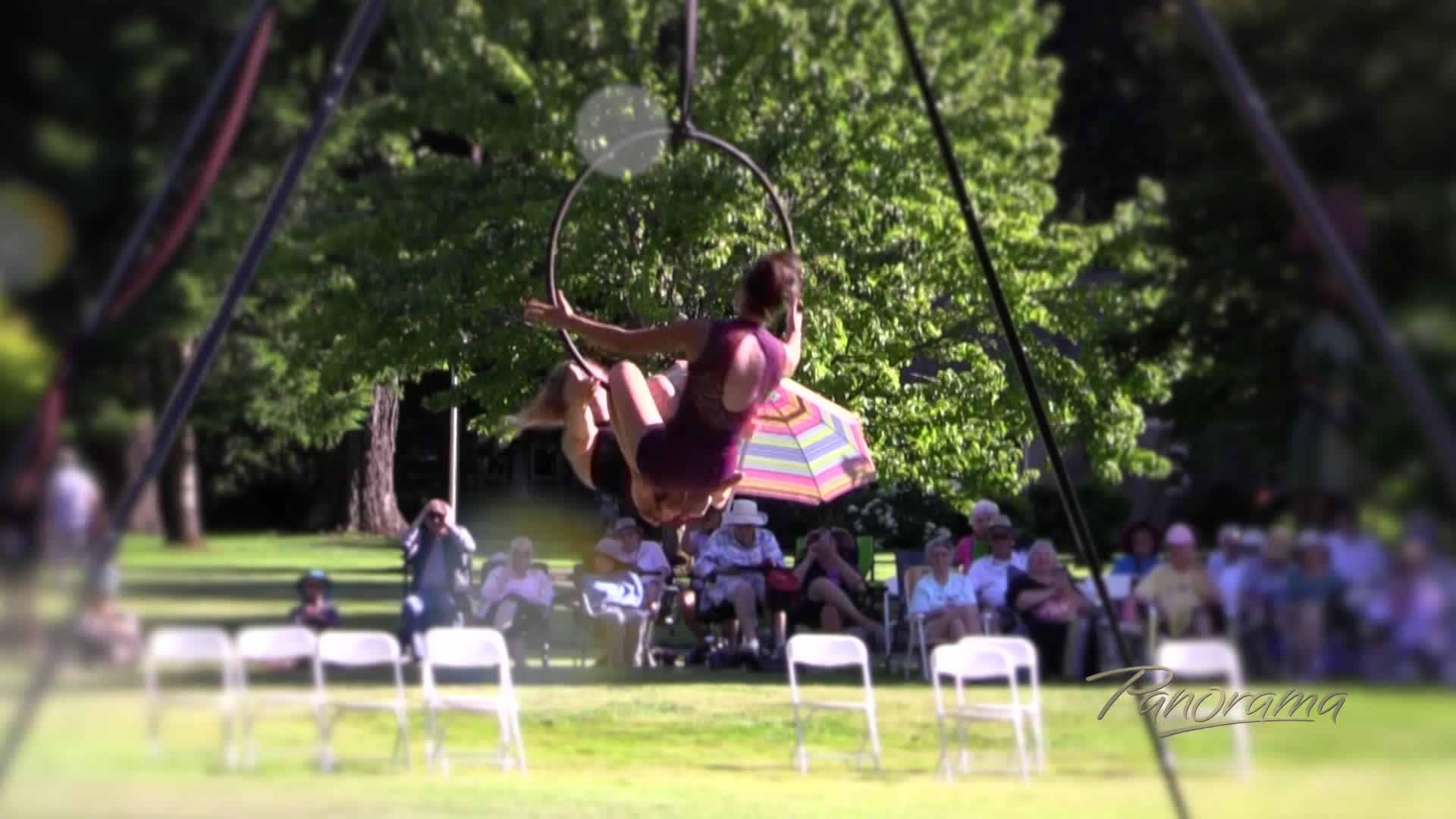 Wings Acrobatics 2023