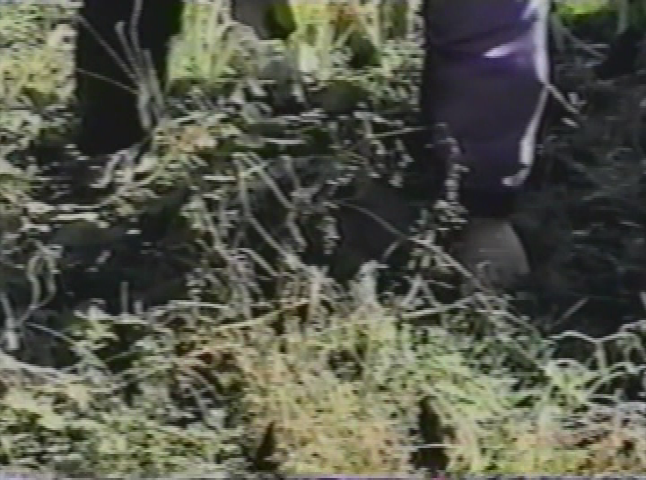 From the Archives - Pea Patch Season Long 2000